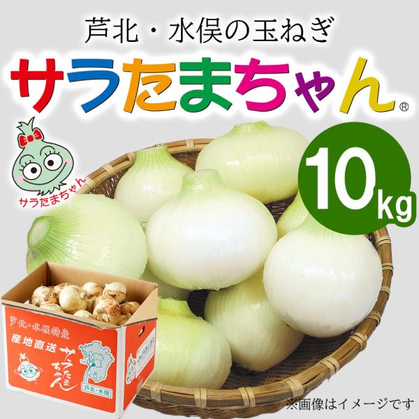 果肉が柔らかく、栽培・収穫から箱詰めまで生産者が1つ1つ手作業で心をこめて丁寧に行っています。産地指定(国野菜指定産地）を受け、農水省の栽培基準(特別栽培農産物)をクリアしてさらに、エコファーマー栽培により「安心」・「安全」で水にさらさなく...