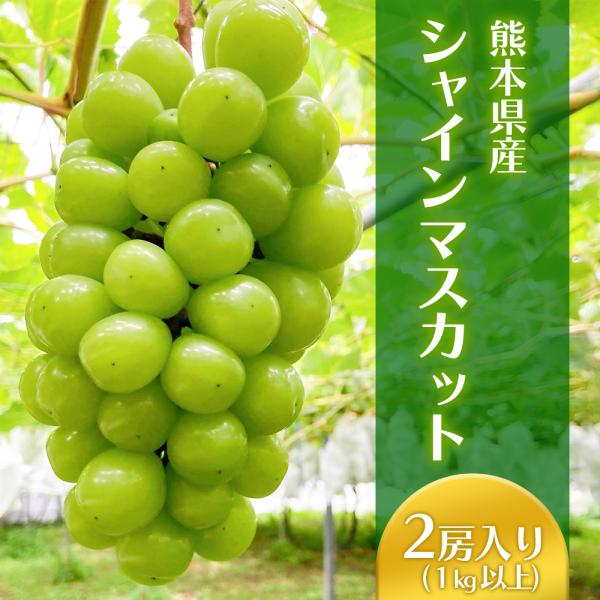 ※8月中旬〜9月中旬まで順次発送予定となります。予めご了承くださいませ※＼３０セット限定販売！／1年中通して愛情たくさんに手をかけ、土作りにこだわり、安全と甘さを追及しています。子供たちも安心して皮ごと食べられるぶどうです。収穫時は一房ずつ...