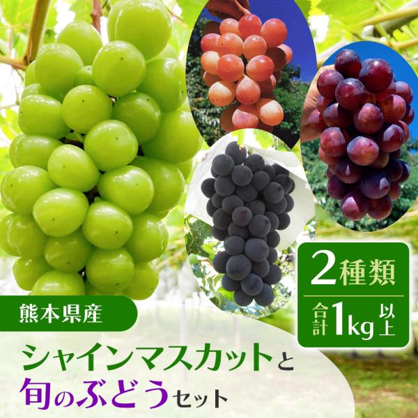 ※８月中旬〜９月中旬まで順序発送予定となります。予めご了承くださいませ※＼３０セット限定販売！／1年中通して愛情たくさんに手をかけ、土作りにこだわり、安全と甘さを追及しています。1房７００g前後の糖度１８度以上のシャインマスカットと、旬のぶ...