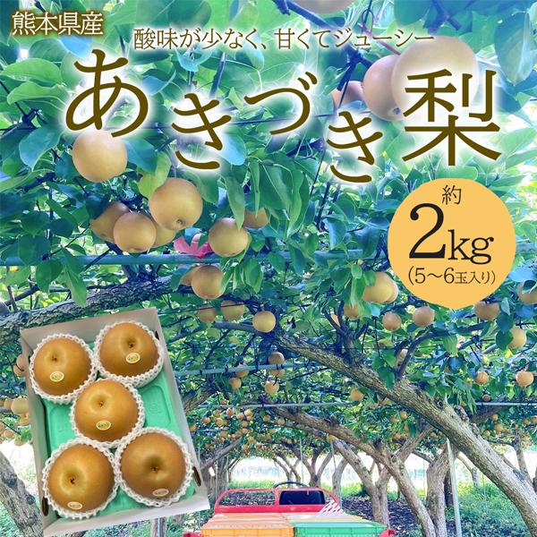 ※８月中旬〜９月中旬まで順次発送予定となります。予めご了承くださいませ※＼３０セット限定販売！／梨の名産地、熊本県氷川町でつくられた私たちの梨は、代々伝わる特別な製法で1年中手作業で手入れをしています。生産が大変ではありますが、樹上完熟にこ...
