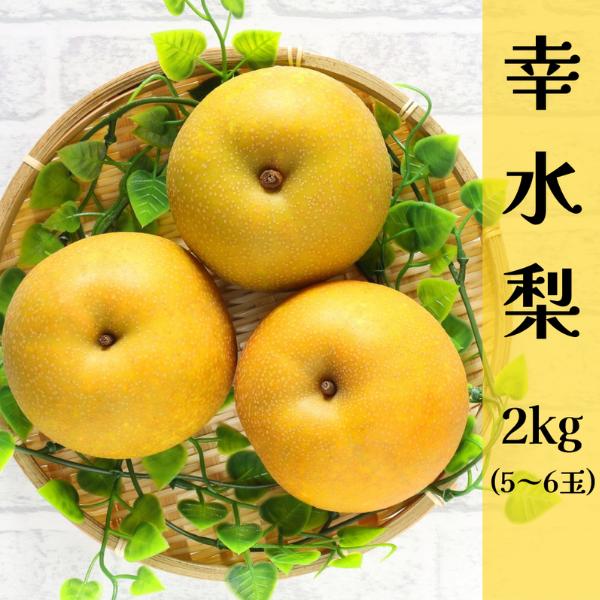 ※７月２５日〜８月１０日まで順次発送予定となります。予めご了承くださいませ※＼３０セット限定販売！／梨の名産地でつくられた、私たちの梨は代々伝わる特別な製法で、1年中手作業で手入れをしています。生産が大変ではありますが、樹上完熟にこだわり、...