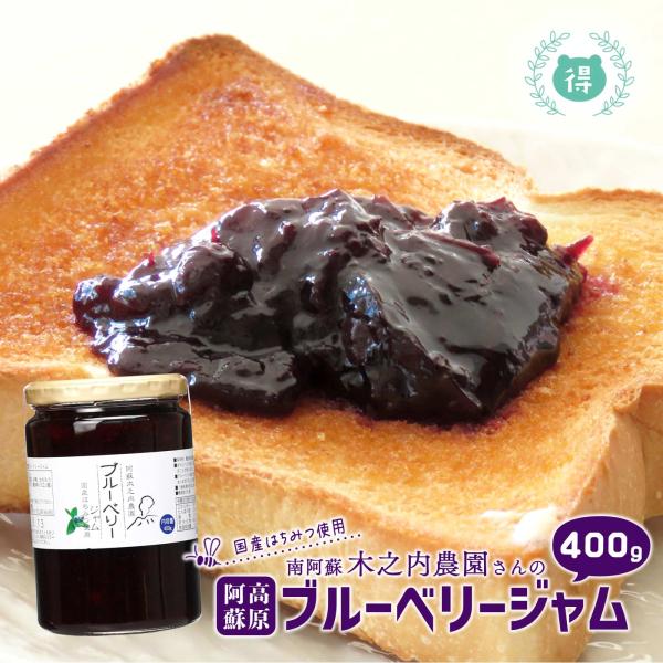 ●阿蘇高原のブルーベリージャム 熊本県山都町および国産ブルーベリーを使用しています。果肉をつぶさないプレザーブスタイルでブルーベリーの粒々を感じることのできるジャムです。食べやすいので、毎朝ヨーグルトと共に召し上がる方が多く、木之内農園のジ...