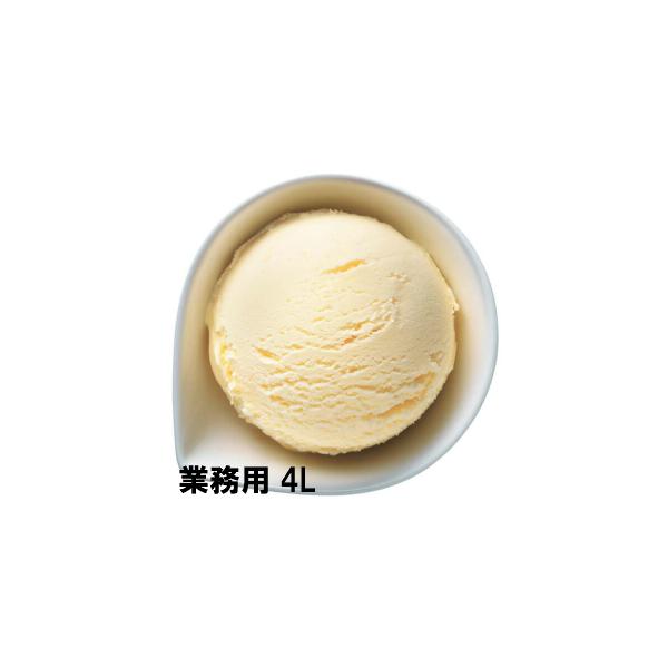 あっさりとした口当たりのバニラアイス。ソースなどの副素材とあわせやすい仕立てです。商品説明種類別名称 ラクトアイス商品名 スターV6バニラ無脂乳固形分 6.9％乳脂肪分 6.9％原材料名 水あめ、砂糖、乳製品、植物油脂、異性化液糖、卵黄（卵...