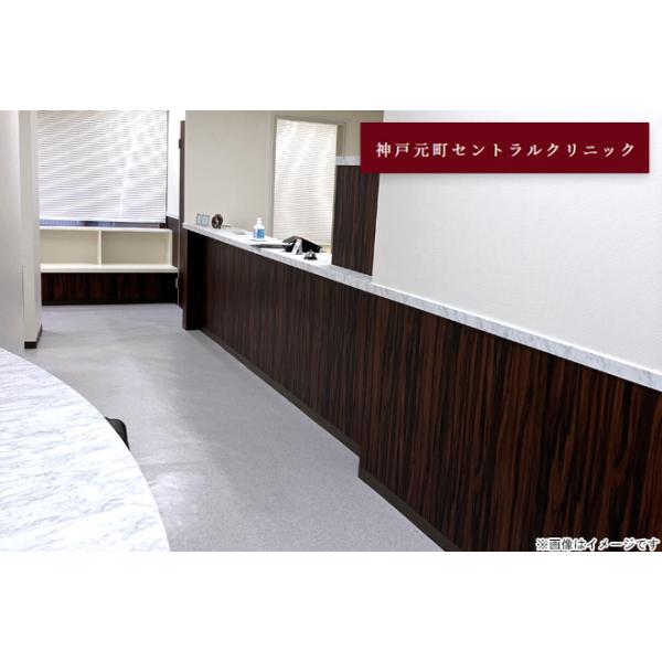 【発売日：2024年11月24日】[店舗名]神戸元町セントラルクリニック[所在地]〒650-0022 兵庫県神戸市中央区元町通1丁目10-11 元町エビスビル2階 [ＴＥＬ]0783356066[ＵＲＬ]https://kobe-centr...