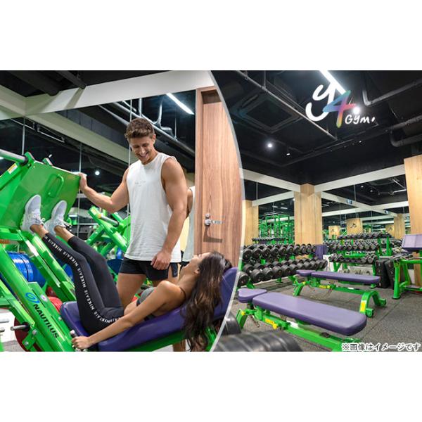 【発売日：2026年03月25日】[店舗名]Y-4GYM[所在地]〒106-0044 東京都港区東麻布３丁目５ - １５ [ＴＥＬ]0335854141[ＵＲＬ]https://y4gym.jp/【12,000円】≪【3回分・1回4,000...