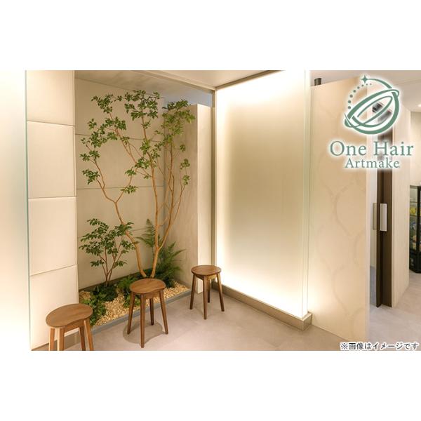 【発売日：2026年03月31日】[店舗名]One Hair Artmake（ワンヘアアートメイク）[所在地]〒106-0032 東京都港区六本木7丁目14-10 誠志堂ビル4階 [ＴＥＬ]0368212186[ＵＲＬ]https://on...