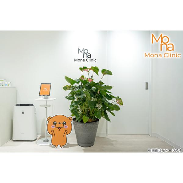 【発売日：2026年04月09日】[店舗名]Mona青山クリニック[所在地]〒107-0062 東京都港区南青山1-10-3 南青山Dビル3F [ＴＥＬ]05057847767[ＵＲＬ]https://mona-life.jp/【8,400...