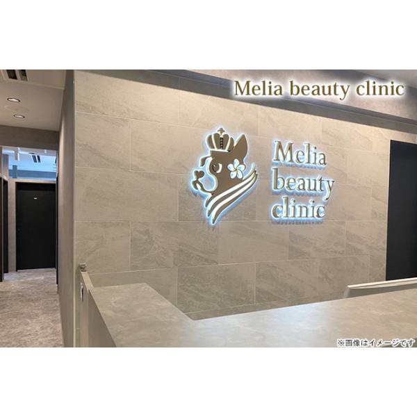 【発売日：2026年06月12日】[店舗名]Melia beauty clinic（メリアビューティークリニック）[所在地]〒1410022 東京都品川区東五反田5-27-10 第一野村ビル5階-B [ＴＥＬ]0364564252[ＵＲＬ]...