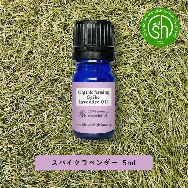 エッセンシャルオイル 精油 スパイクラベンダー 5ml &amp;sh アロマラベンダーをよりはっきり、フレッシュにした香り[関連ワード : スパイク / ラベンダー / 癒し / ナチュラル / 自然派 / アロマディフューザー / オー...