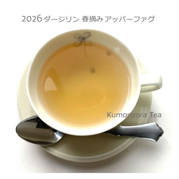 アッパーファグ園 DJ-12 (Upper Fagu Tea Estate)昨年の春摘みに続いて入荷したアッパーファグ茶園。今季、入荷した3茶園の中で香りはベストで春の花のよう。味わいは重層的で口に含んだ瞬間から少しずつ違う味をお楽しみいた...