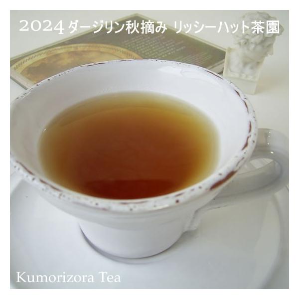 リッシーハット茶園(Risheehat Tea Estate SFTGFOP-1 DJ456)春摘みに続いて入荷したリッシーハット茶園。今季、３茶園の中でエース級の茶園です。まろやかで強い刺激がなく、丸みのある味わいです。濃い目に淹れてミル...