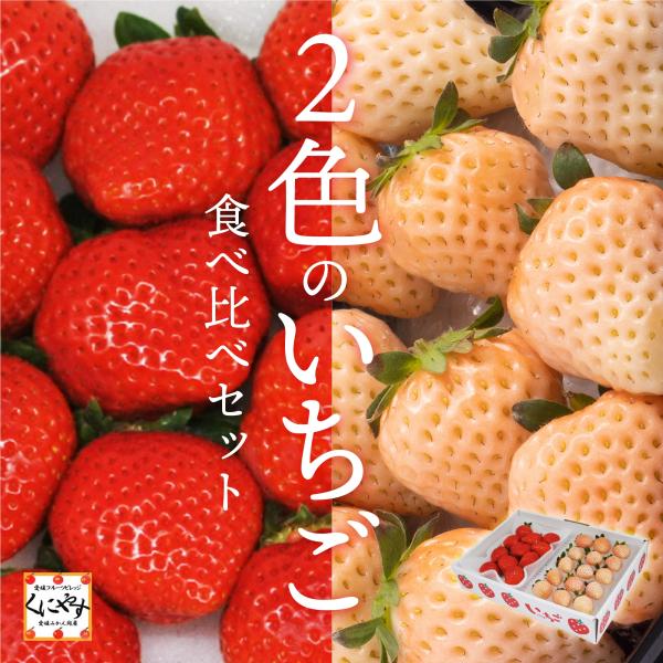 【発売日：2024年12月03日】福岡産 あまおう（約250g）/熊本産 淡雪（約270g）/5〜10営業日以内発送予定（日付指定不可）