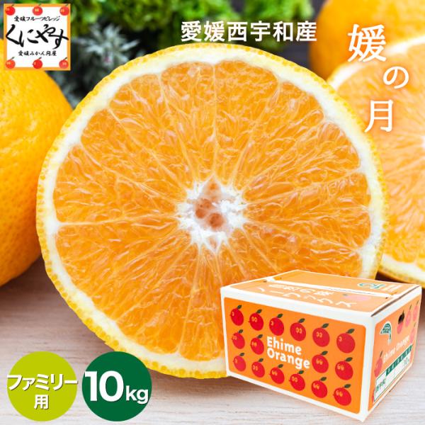 愛媛西宇和産 ファミリー用 媛の月/3kg/産地直送