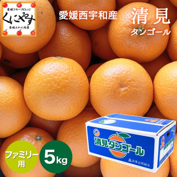 蜜柑/みかん/ミカン/お取り寄せ/グルメ/産地応援/オレンジ/フルーツ/果物/見た目綺麗/ギフト/贈答/