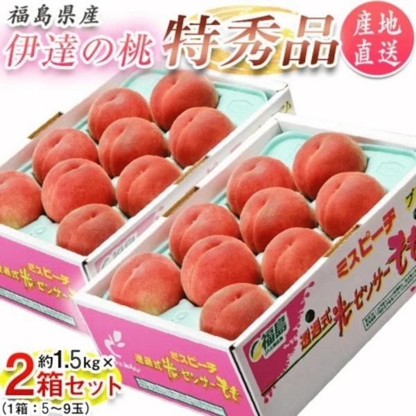 【発売日：2026年06月20日】福島産 伊達の桃/約3kg 10〜18玉入り (約1.5kg×2箱) /産地直送