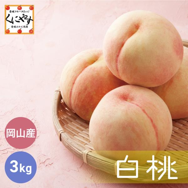 【発売日：2024年05月01日】岡山県産 白桃/3kg/2L or 3L/秀品