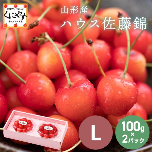 【発売日：2025年04月14日】山形産 さくらんぼ/ハウス/佐藤錦/Lサイズ/約200g/4月下旬〜6月上旬頃発送