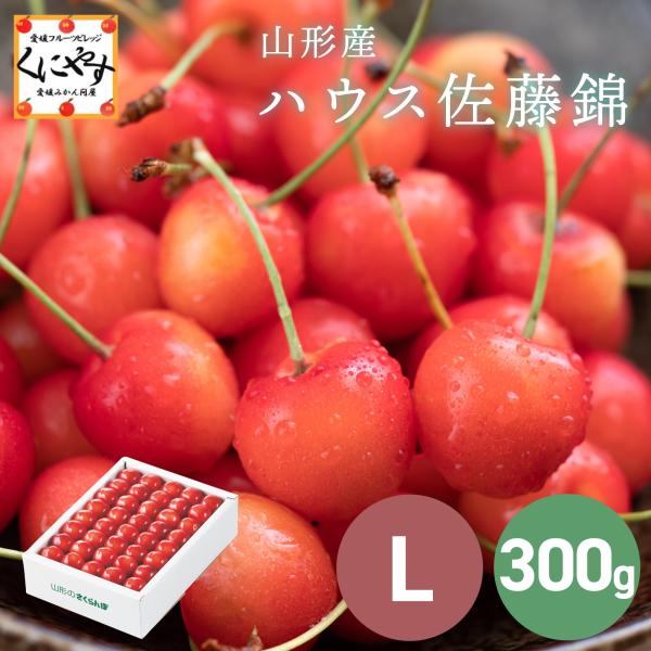 【発売日：2025年04月14日】山形産 さくらんぼ/ハウス/佐藤錦/約300g/化粧箱入り/手詰め/4月下旬〜6月上旬頃発送
