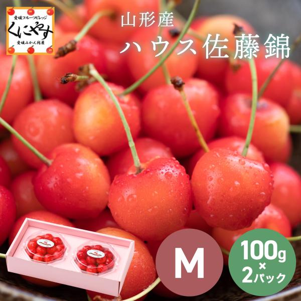 【発売日：2025年04月14日】山形産 さくらんぼ/ハウス/佐藤錦/Mサイズ/約200g/4月下旬〜6月上旬頃発送