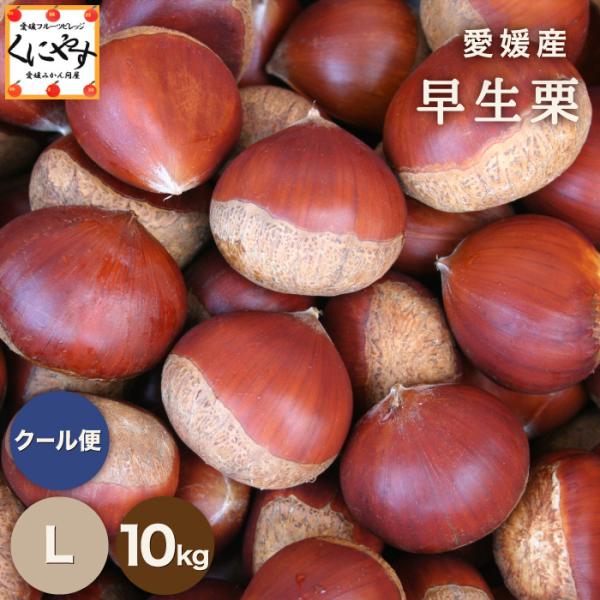 愛媛県産の生栗/Lサイズ/栗ご飯や甘露煮、モンブランなど様々なお料理にご使用いただけます。