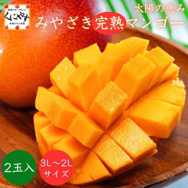 【発売日：2024年05月01日】宮崎産/みやざき完熟マンゴー/2〜3Lサイズ/2玉入り（1玉：350〜499g）/5〜10営業日以内発送予定