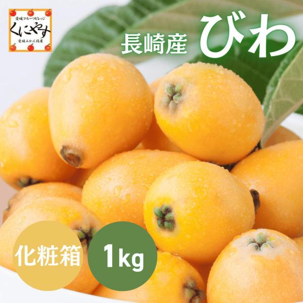 長崎県産びわ（枇杷）/L〜2L/約500g×2箱(1箱：9〜12玉)/化粧箱