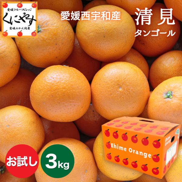 蜜柑/みかん/ミカン/お取り寄せ/グルメ/産地応援/オレンジ/フルーツ/果物
