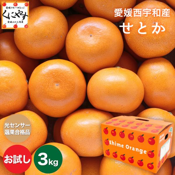 蜜柑/ミカン/みかん/グルメ/お取り寄せ/グルメ/産地応援