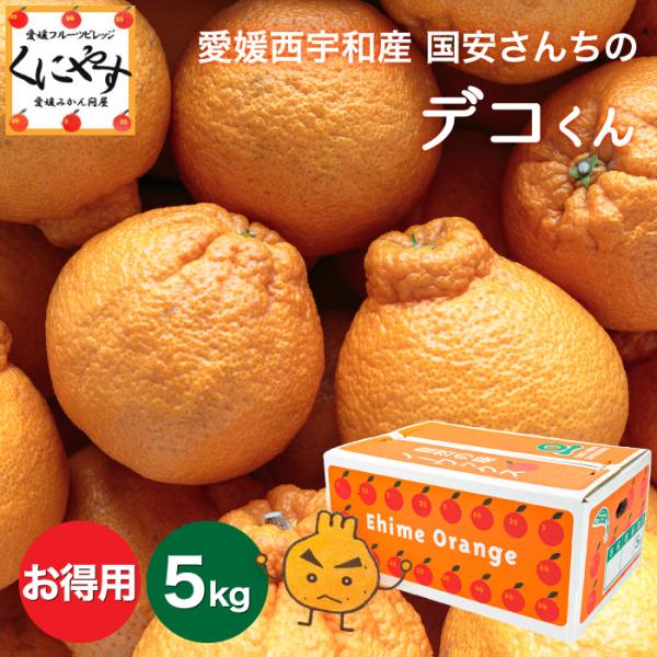 不知火/蜜柑/ミカン/グルメ/お取り寄せ/産地応援/ギフト/贈答/