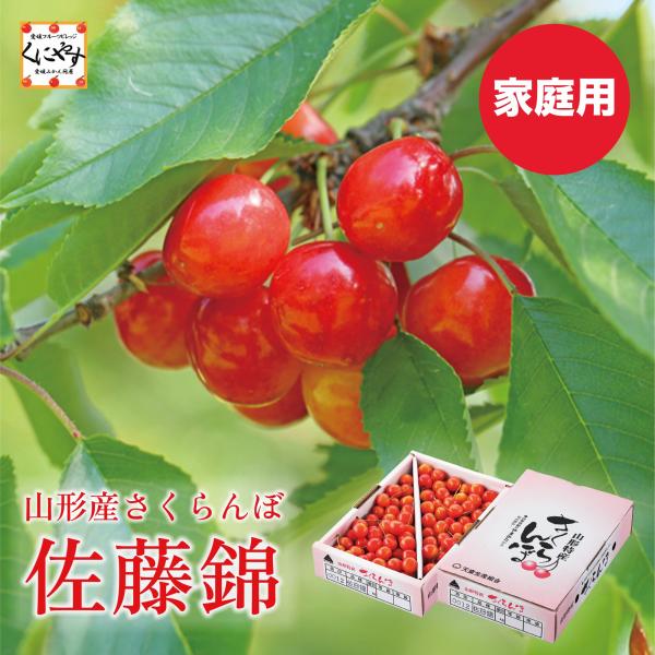 【発売日：2025年04月14日】山形産 さくらんぼ/佐藤錦/家庭用/バラ詰め/1kg/6月中旬〜下旬頃発送予定