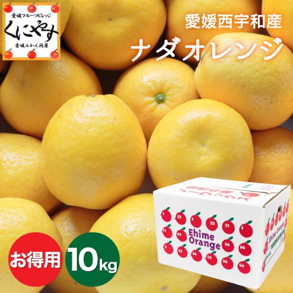 愛媛西宇和産 ナダオレンジ/お得用/10kg/M-3Lサイズ/数おまかせ