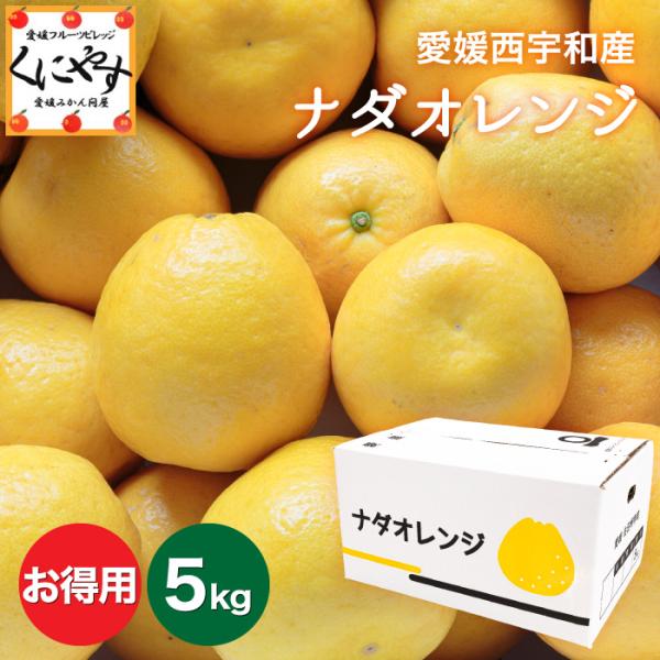 愛媛西宇和産 ナダオレンジ/お得用/5kg/M〜3Lサイズ/数おまかせ