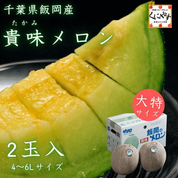 千葉県飯岡産 貴味メロン/青肉/大玉 4L以上 2玉入/約3.4kg/秀品以上