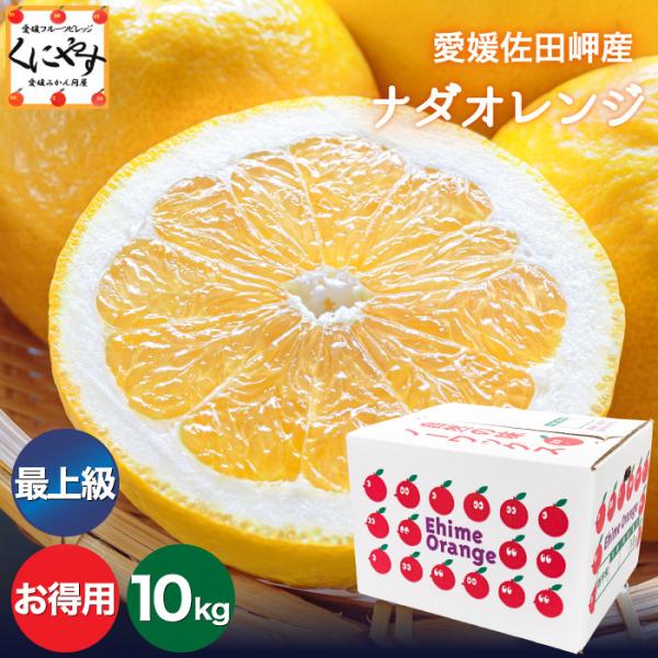 愛媛佐田岬産 最上級ナダオレンジ/お得用/10kg/M-3Lサイズ/数おまかせ