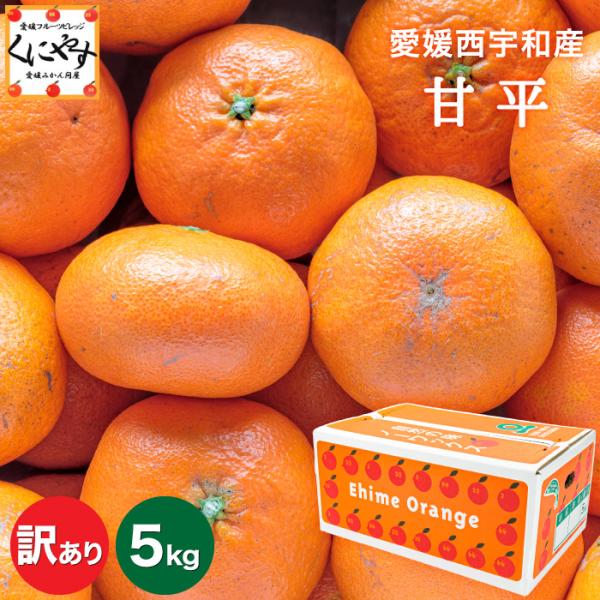 甘平/みかん/蜜柑/訳あり/家庭用/お取り寄せ