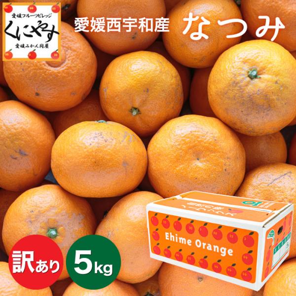 愛媛西宇和産なつみ/訳あり/5キロ/家庭用/規格外