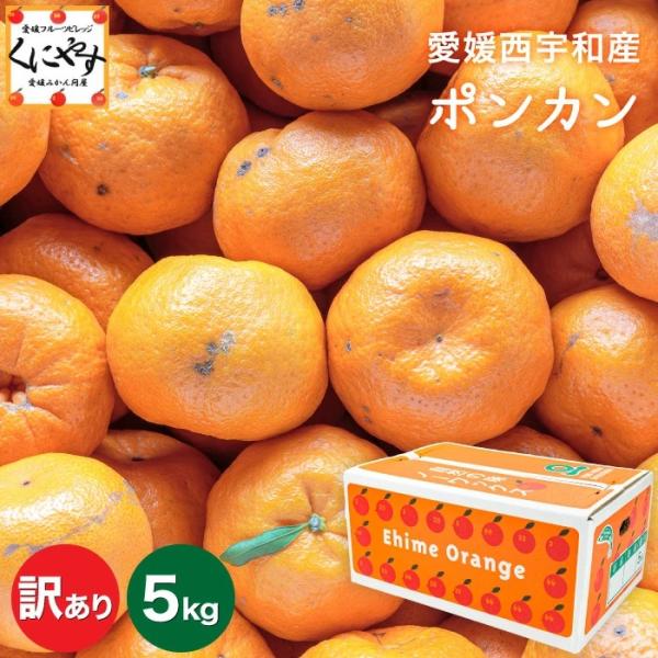大きさ不揃い・見た目チョイ傷/ぽんかん/みかん/蜜柑/お取り寄せ/グルメ/産地応援
