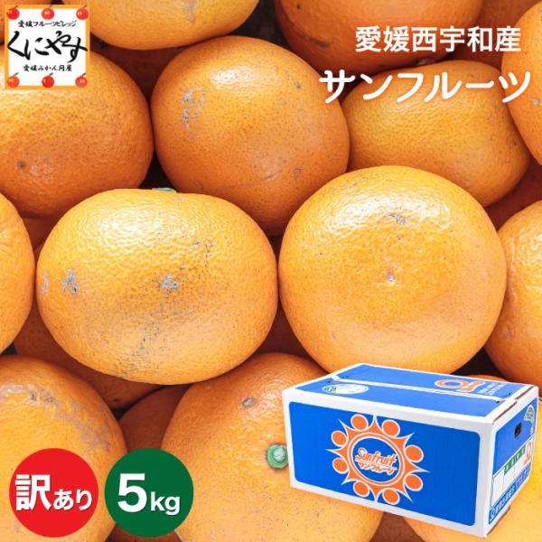 サンフルーツ/新甘夏/柑橘/みかん/訳あり