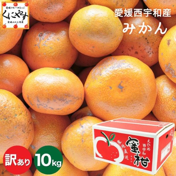 【発売日：2024年10月10日】蜜柑/ミカン/愛媛みかん/グルメ/お取り寄せ