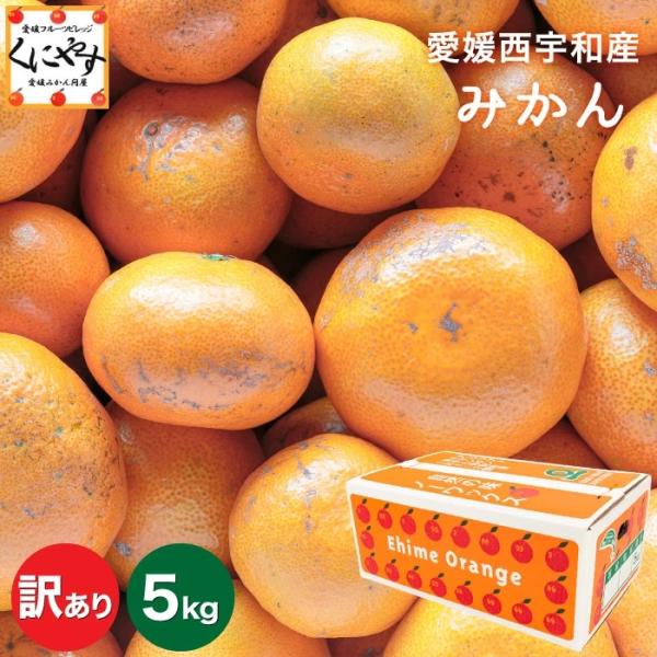 【発売日：2024年10月10日】蜜柑/ミカン/愛媛みかん/グルメ/お取り寄せ