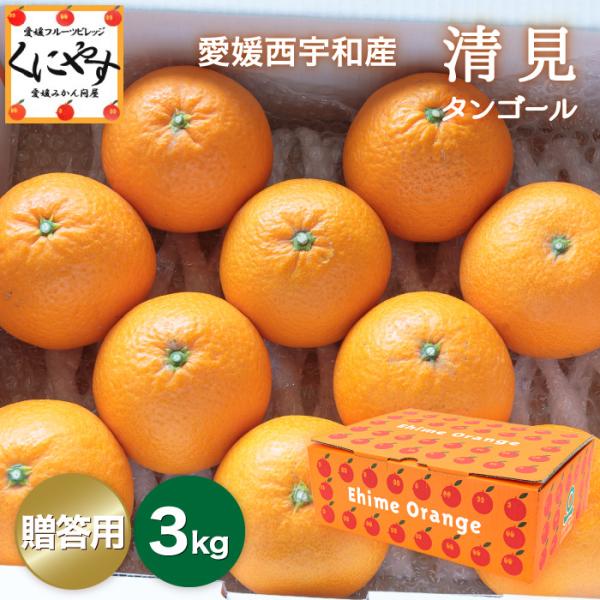 蜜柑/みかん/ミカン/お取り寄せ/グルメ/産地応援/オレンジ/フルーツ/果物/ギフト/贈答/