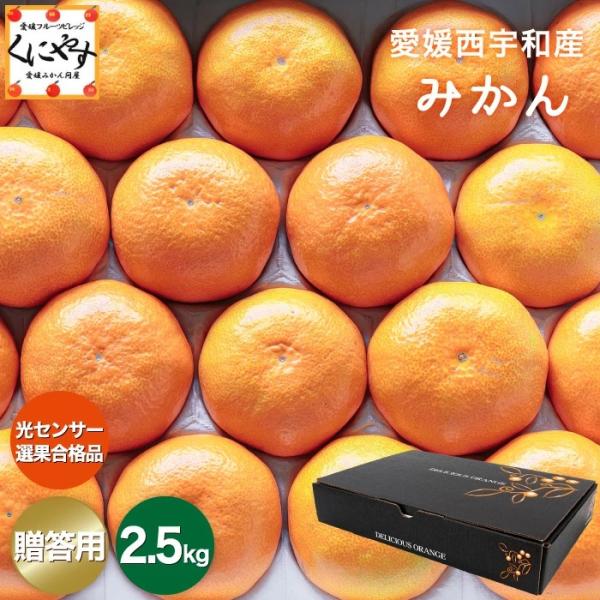 愛媛西宇和産みかん/贈答用/2.5キロ/日の丸みかん 川上みかん 真穴みかん と同一産地/MサイズorLサイズ（指定不可）