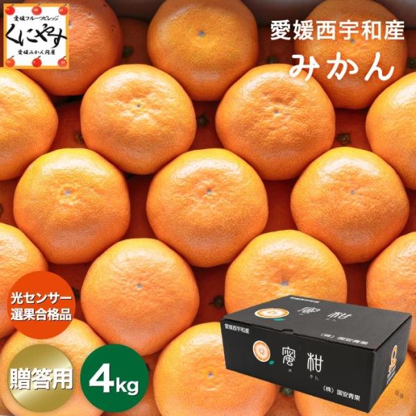 愛媛西宇和産みかん/贈答用/4キロ/日の丸みかん 川上みかん 真穴みかん と同一産地/MサイズorLサイズ（指定不可）