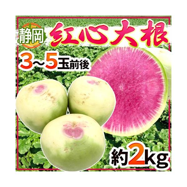 【発売日：2025年11月25日】【送料無料!】見た目は緑と白のカブみたいな姿、でも中の果肉は真っ赤！？しかも辛くなくて生食で美味しい！バーニャカウダにも◎のインスタ映え大根こうしん大根/こうしんだいこん/心里美/シンリーメイ/2キロ/爆買