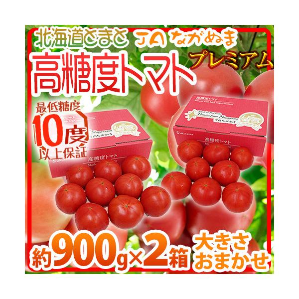 【発売日：2026年06月15日】【送料無料】一口噛みしめれば口いっぱいに広がるトマトの爽やかな風味。食味抜群の旨みが凝縮された美味しいトマト♪糖度10度以上限定のプレミアム！/爆買