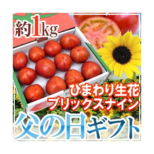 【発売日：2026年06月08日】【送料無料】健康に気を使うお父さんに♪糖度９度以上保証の「ブリックスナイントマト」とひまわり生花でお父さんに感謝を伝えるセット！濃厚な味わいはお父さんも感激！父の日/2021/プレゼント/ギフト/50代/6...