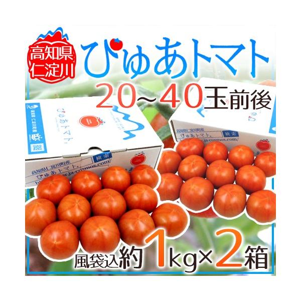 【発売日：2026年06月15日】【送料無料】希少な、夏に食べられるフルーツトマト！こだわりの栽培法で育まれたトマトは、甘さと酸味の調和したトマトらしい《ぴゅあ》な味わいです♪/高糖度トマト/ピュアトマト/糖度8度以上/1キロ/爆買