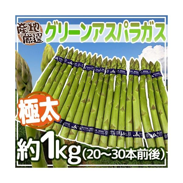 【発売日：2026年04月10日】【送料無料】独特のシャキっと食感と、ふくよかな香りが魅力のグリーンアスパラガス！ホワイトアスパラガスよりも、栄養価が高い！柔らかい旬の産地のアスパラガス♪その中でも、柔らかさ、見栄え、ボリューム感バツグンの...