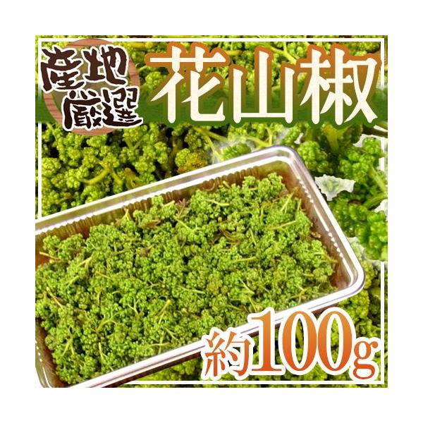 【発売日：2026年04月10日】ゆずと並ぶ日本の二大スパイス！今回お届けするのは小さな花一つ一つを手摘みした「花山椒」！！薬味にも、佃煮などにも♪上品なで香り高い清涼感はたまりません♪/爆買