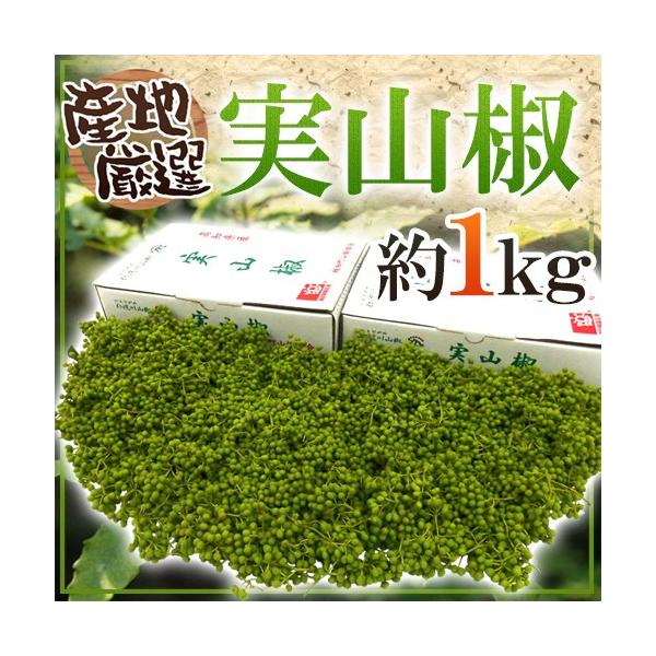 【発売日：2026年05月15日】「山椒は小粒でも、ピリリと辛い」とことわざにあるほど古くから愛されるスパイス。佃煮やちりめん山椒に！良質な実さんしょをお届けいたします！/実さんしょう/山椒の実/さんしょの実/実山椒/1キロ/爆買